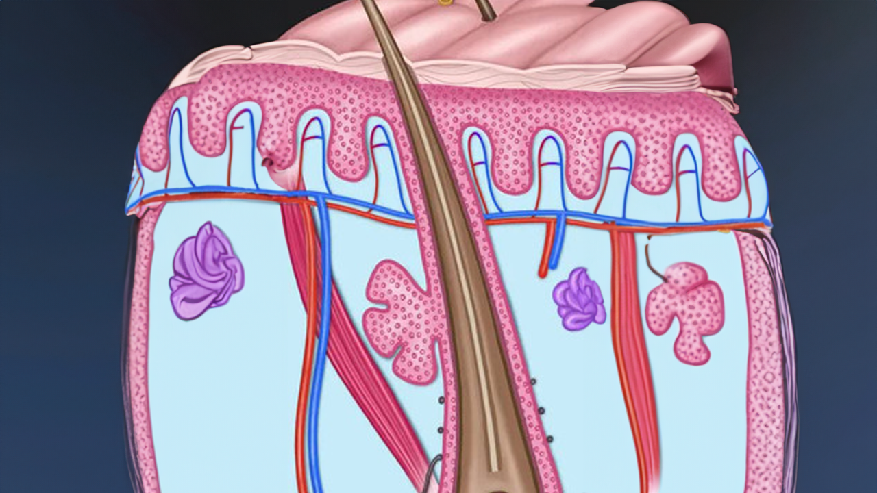 How hair depth works