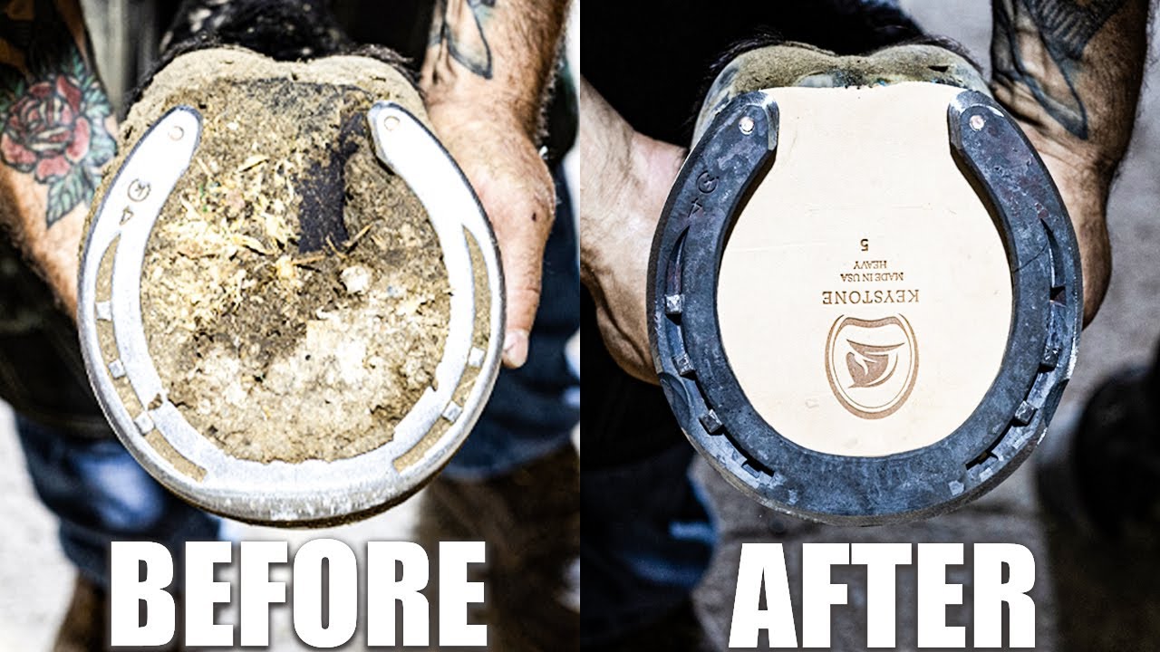 Oddly satisfying hoof restoration process