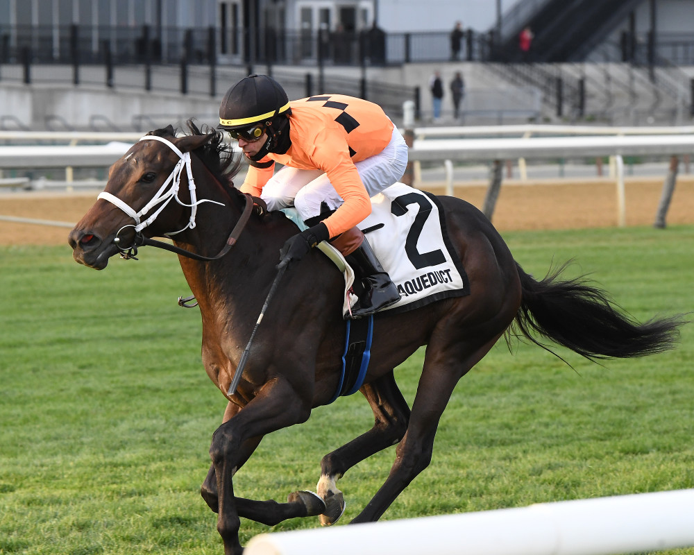 3YO fillies start new year in Turfway Park's Gowell Stakes