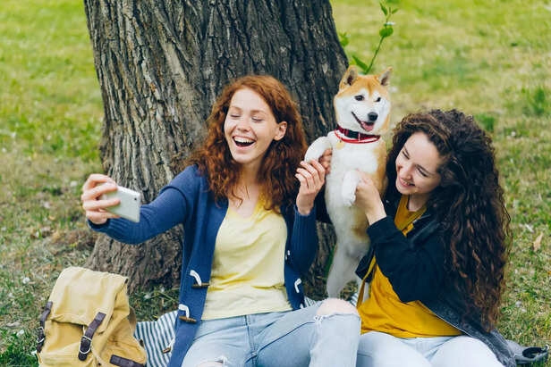 Why pets made 2025 unforgettable