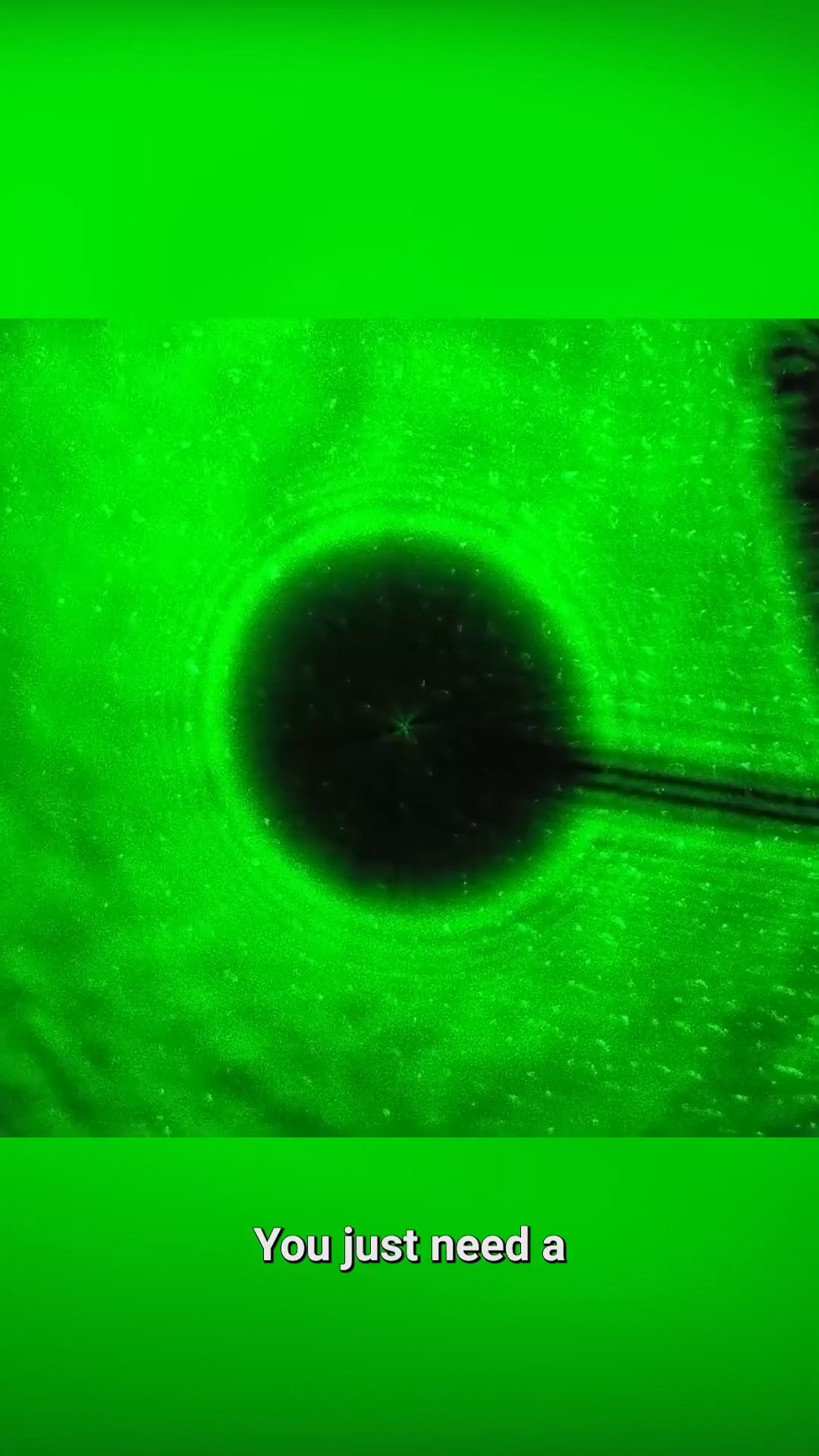 The dark Poisson's spot