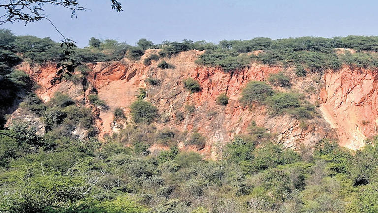 Verdict of a disappearing shield: How the Aravallis edge towards erasure
