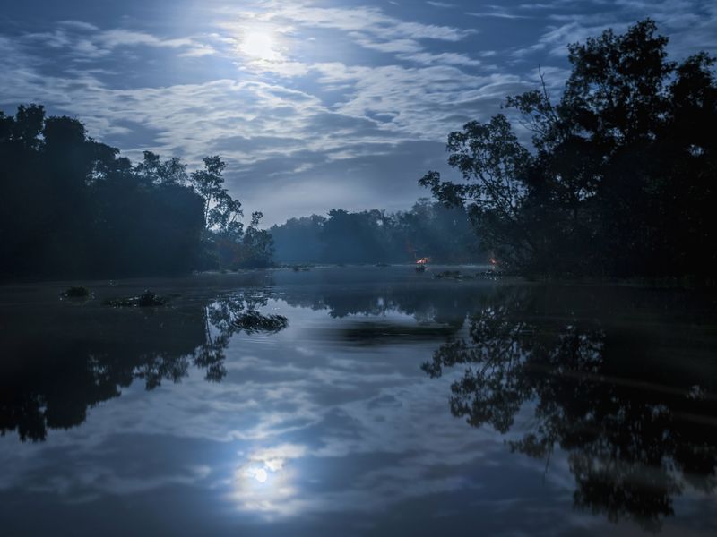 Noctourism: Das ist der neue Reise-Trend 2026 für Nachteulen