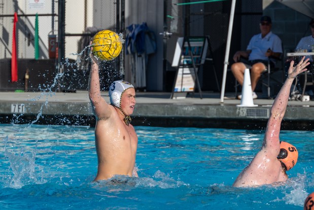 11 local girls, six boys named to all-CCS water polo teams