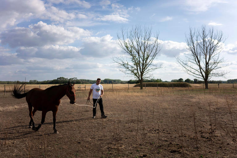 Hungary's 'water guardian' farmers fight back against desertification