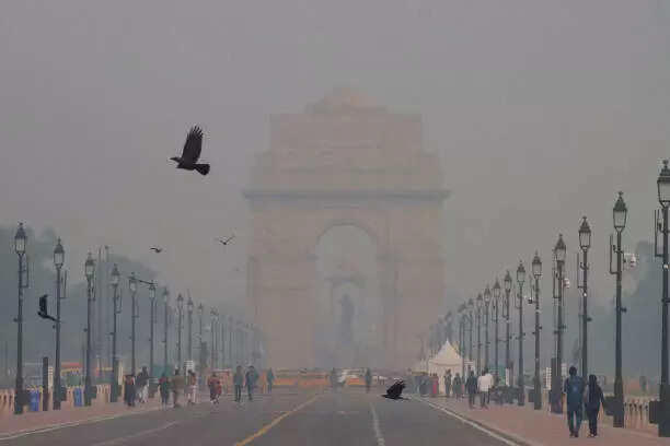 Health comes first: Finance head quits pharma firm over Delhi's air ...