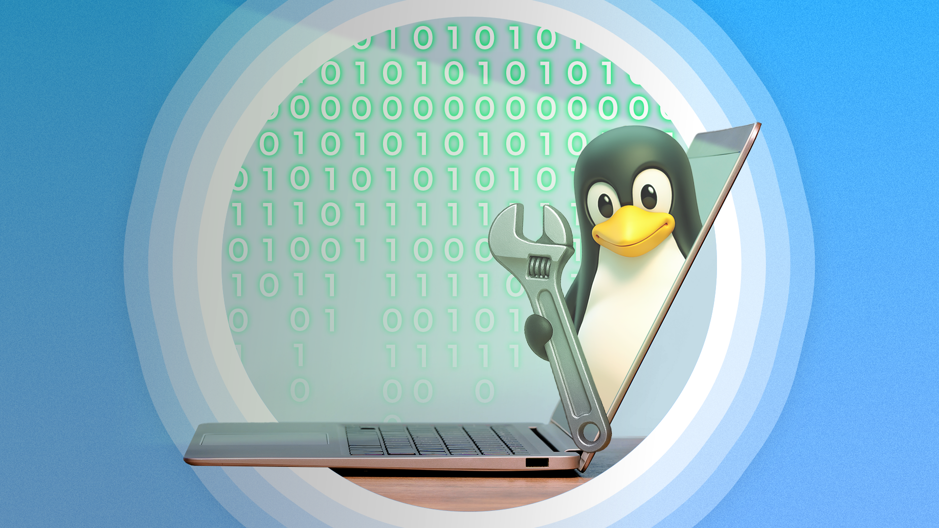 5 Linux distros that work with Windows Secure Boot
