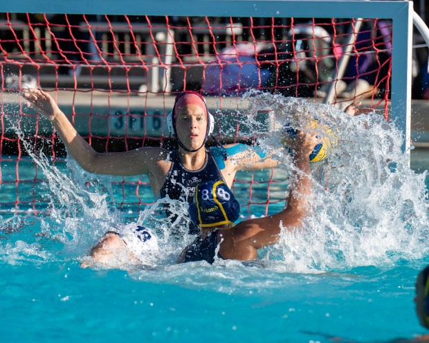 11 local girls, six boys named to all-CCS water polo teams