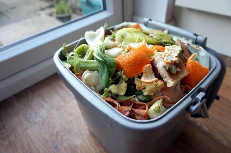 Derby households set to receive two new food waste bins in 2026