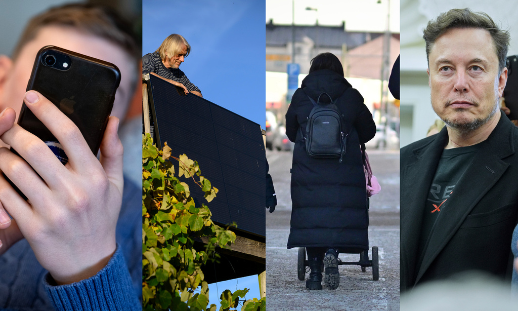 Storpolitik och lite trams – här är årets nya ord