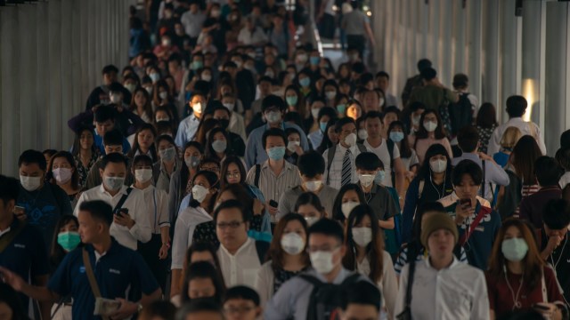 New study reveals unexpected impact of COVID pandemic: 'Appeared to be ...