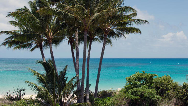 Cruise ship grounds off PNG, passengers to fly home