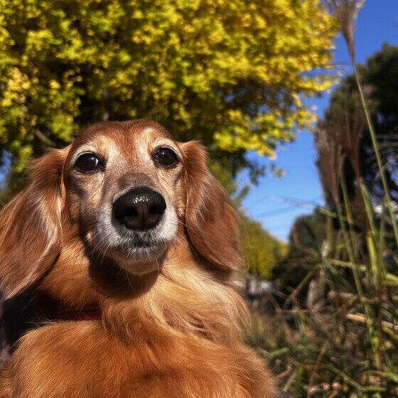 貧乏ゆすりで健康？医師が解説する驚くべき効果と正しいやり方-健康 | ePicByteHub