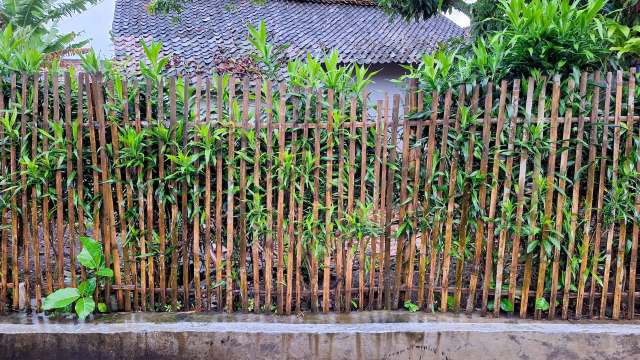 Homeowner outraged as neglectful neighbor creates serious hazard: 'They ...