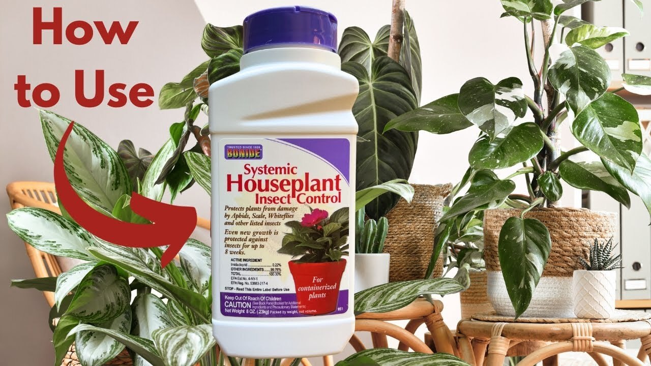 How to use Bonide systemic insect control