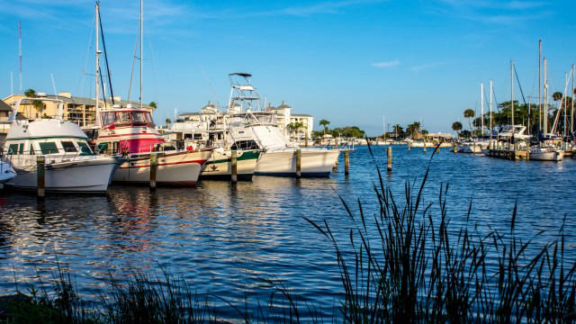 Residents alarmed as harmful creatures spread in US waterways: 'They ...