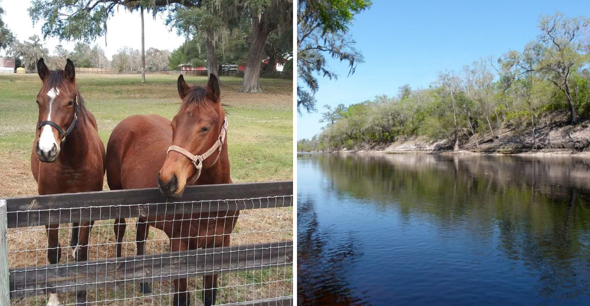 10 Florida regions that reveal the state’s rural side