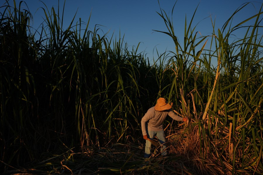 Sugarcane field burnings cause ash to fall in Baton Rouge