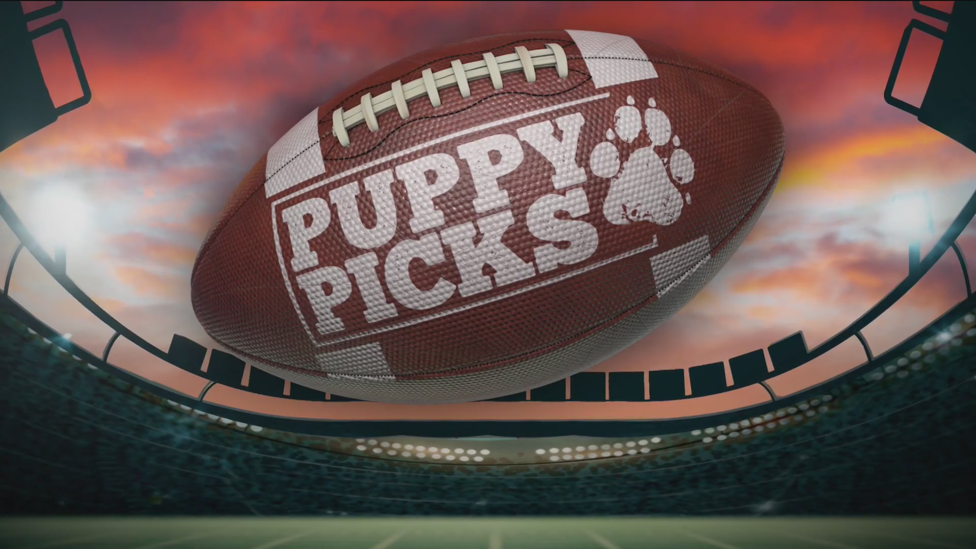 Puppy picks 2025: Admiral Ackbar picks Bears vs. 49ers