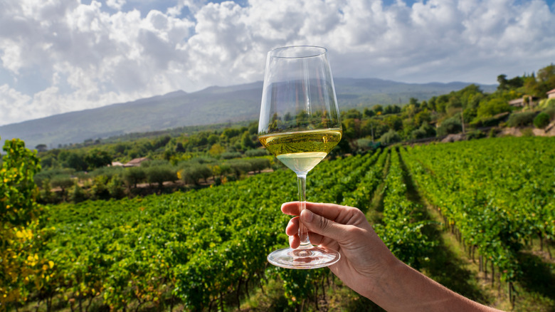 These are the world's most underrated wine regions