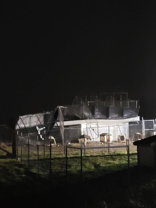 Pike Animal Welfare Shelter reports damage to outdoor kennels during ...