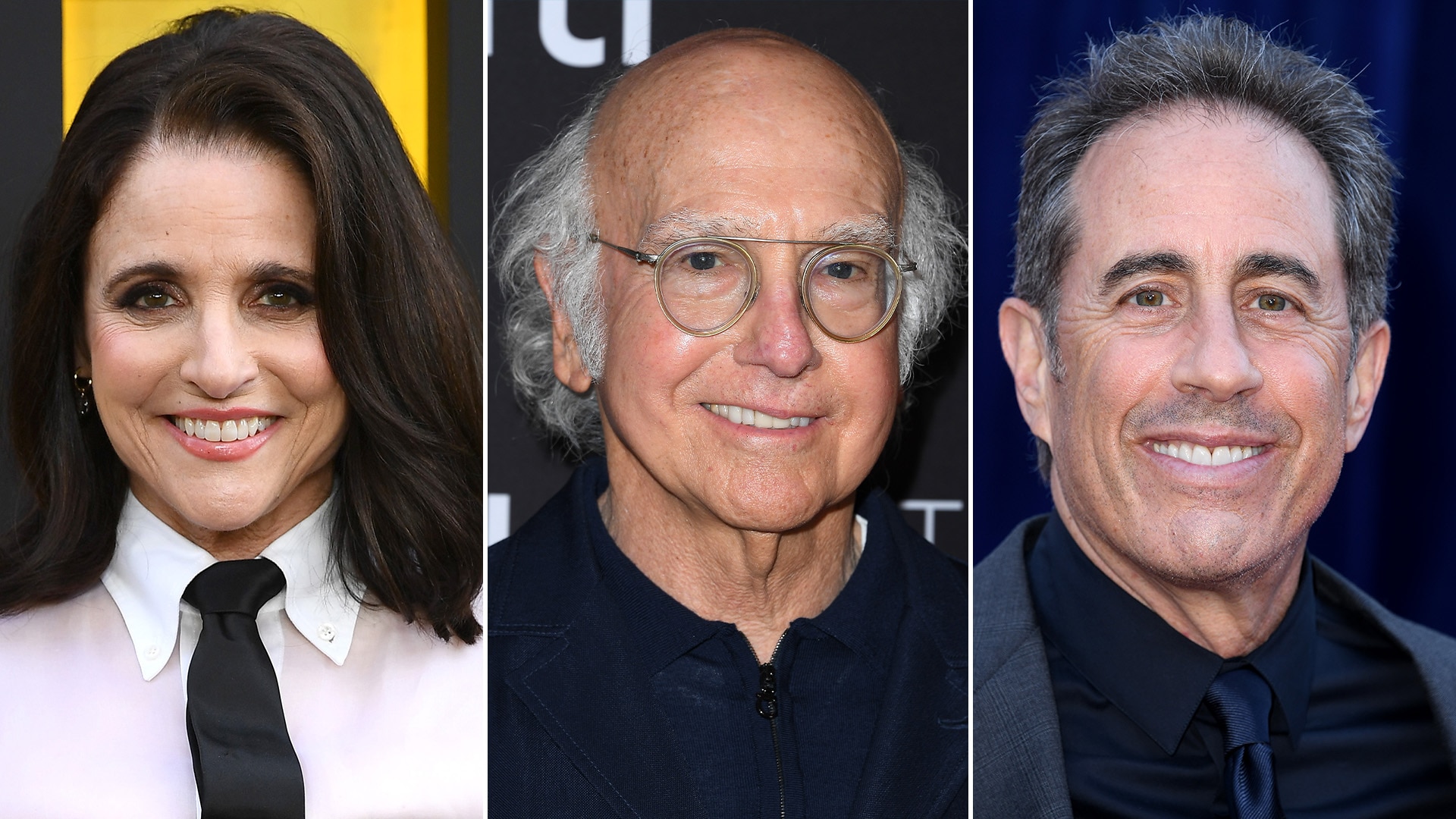 Seinfeld's Julia Louis-Dreyfus, Jerry Seinfeld, and Larry David reunite ...