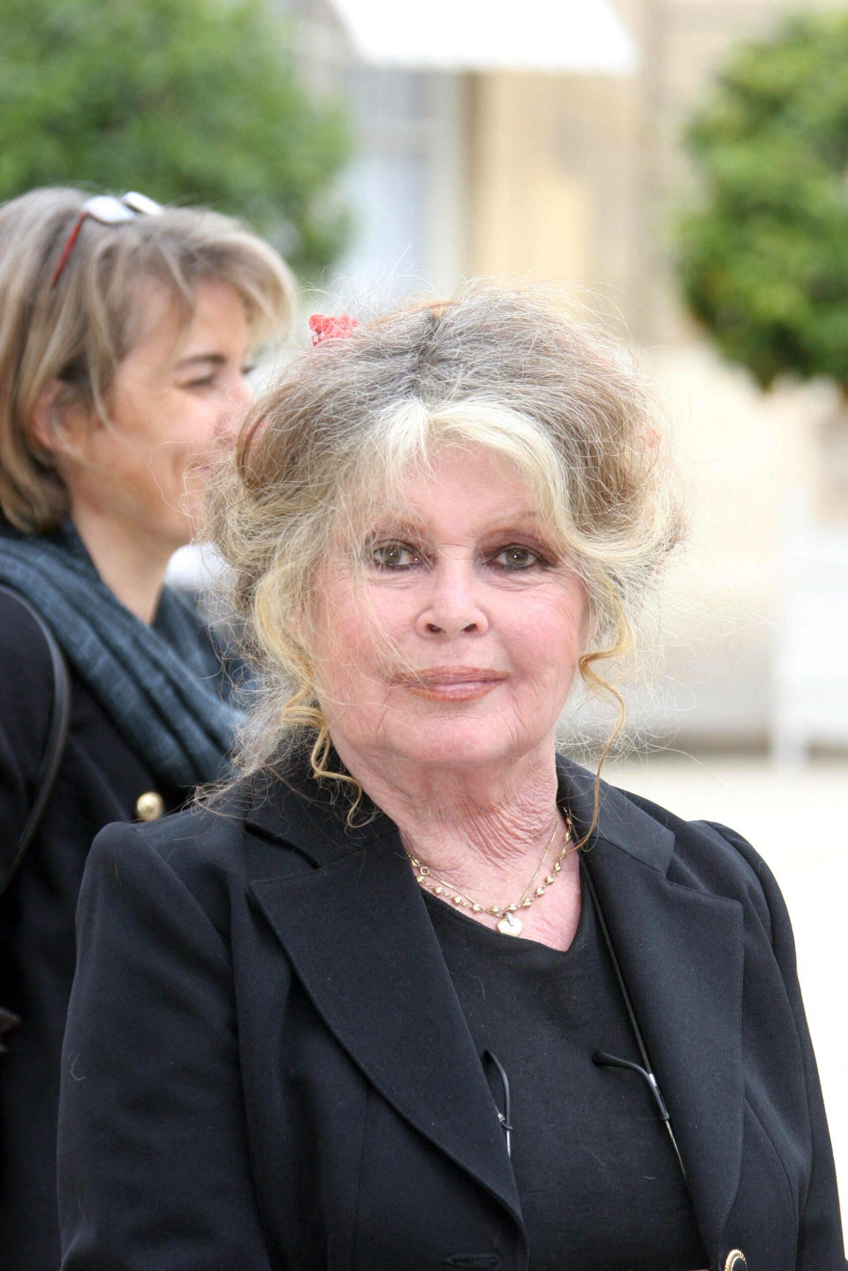 The real reason Brigitte Bardot quit acting at 39 reemerges after her death