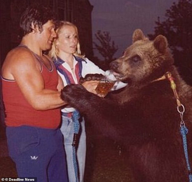 The story of Hercules, the bear raised 'like a son' by a Scottish ...