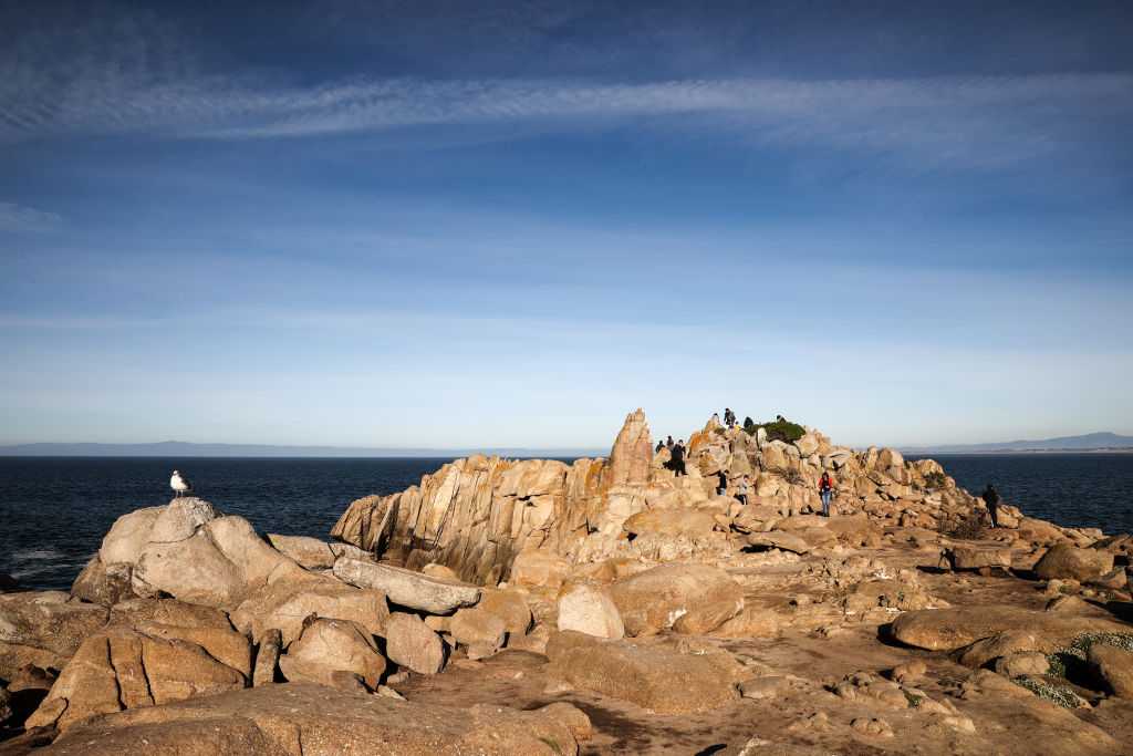 Body found on California beach may be woman who went missing off Lovers ...