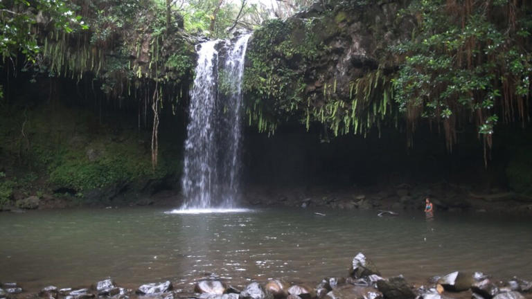 62 best things to do in Maui with kids (2026 guide by a Hawaii expert)
