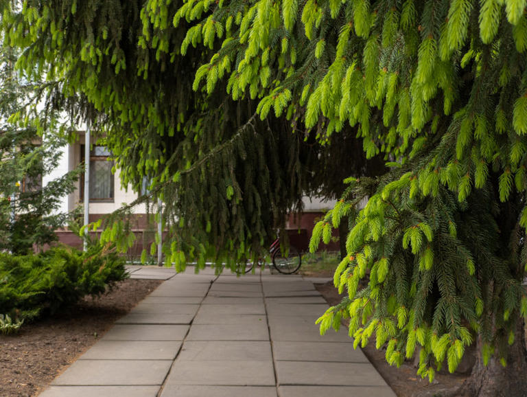 Matching size and space: Creating landscape proportion