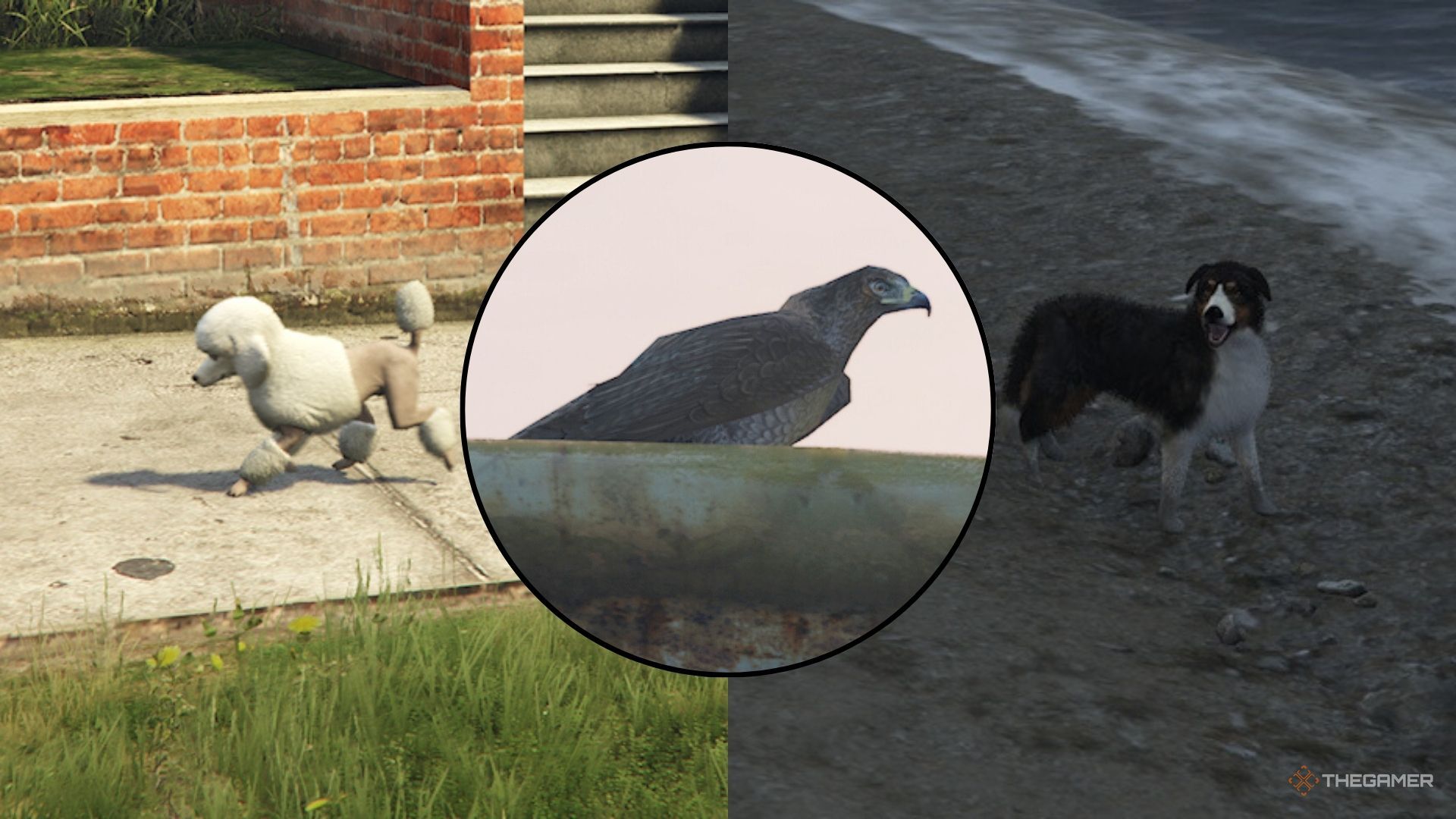 Where to find each type of animal in GTA Online