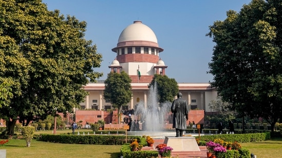 SC to examine maternity leave cap order for adoptive mothers