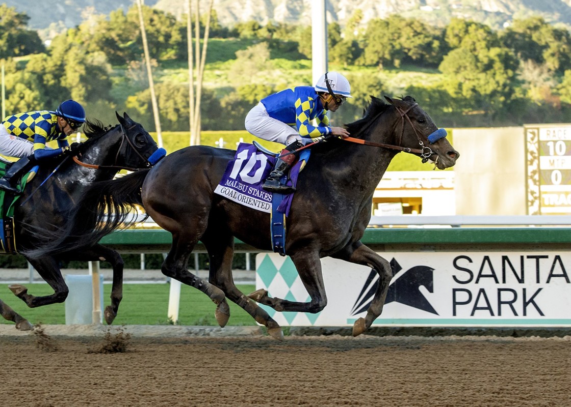 Goal oriented leads 1-2 Bob Baffert Malibu finish despite scratch of ...