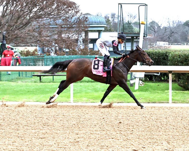 Racetrack Roundup: Amir Mendoza An Up-And-Coming Apprentice At Oaklawn Park