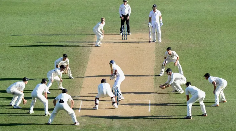 From Cow Corners to Third Men: Why Cricket fields sound like farmyard ...