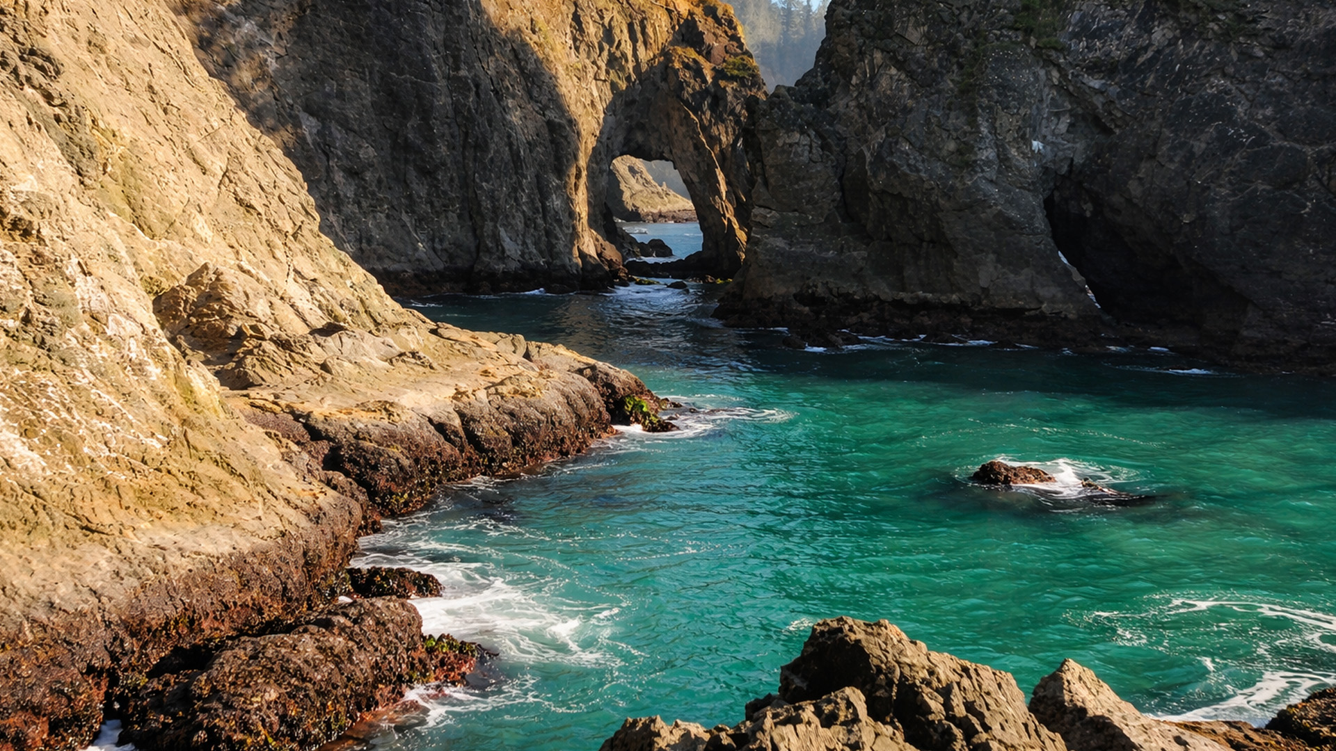 How did the ocean carve this?