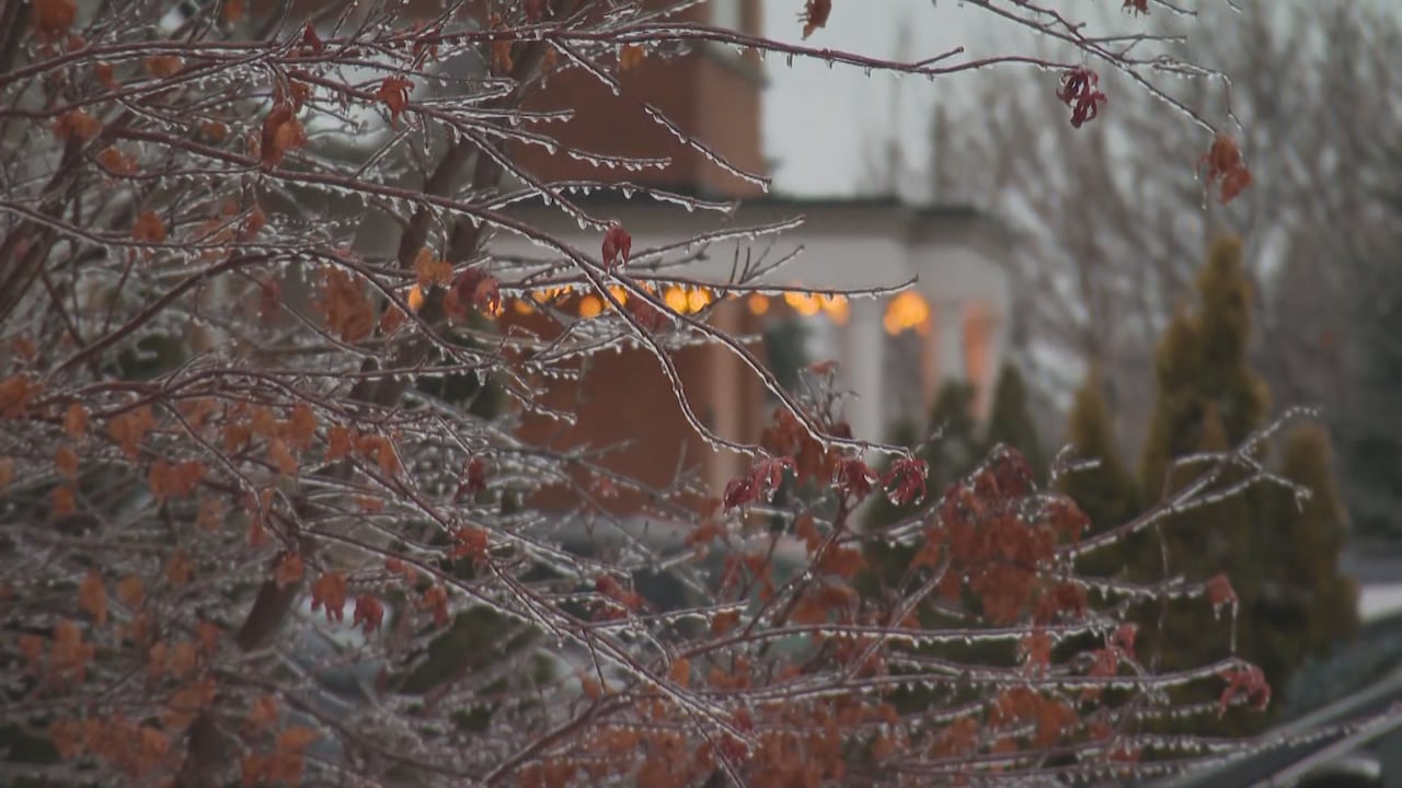 Environment Canada issues weather warning for Toronto