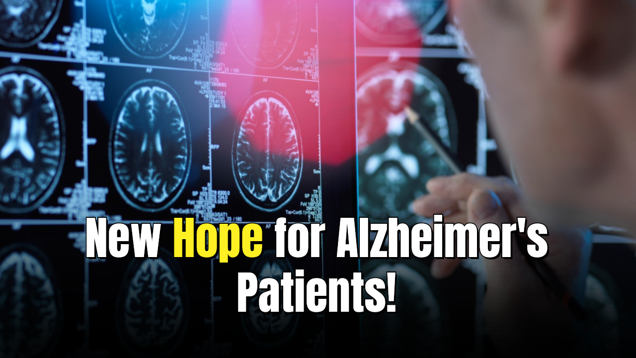 New study model shows Alzheimer’s disease can be reversed—not just ...