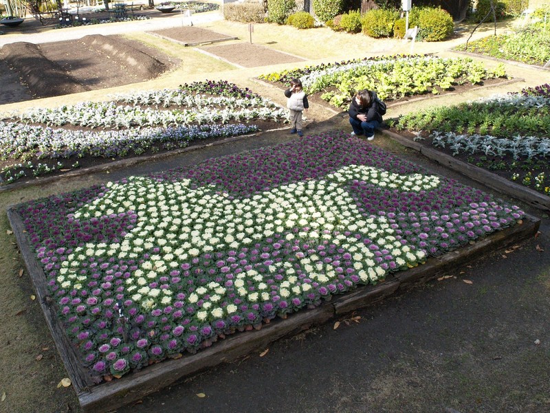 Easy Japanese news in translation: Flower bed shows lively horse in ...