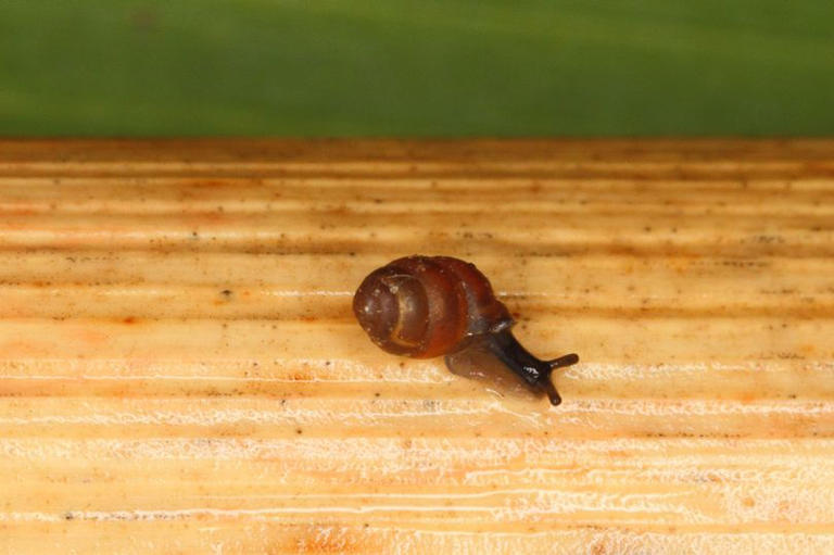 New ballroom at Donald Trump's Doonbeg golf resort to have no impact on ...