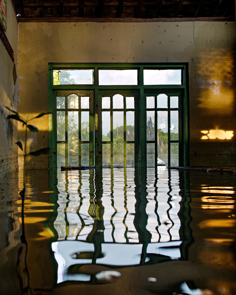 Vermont concerts and shows 2026 brings Neko Case, burlesque next month