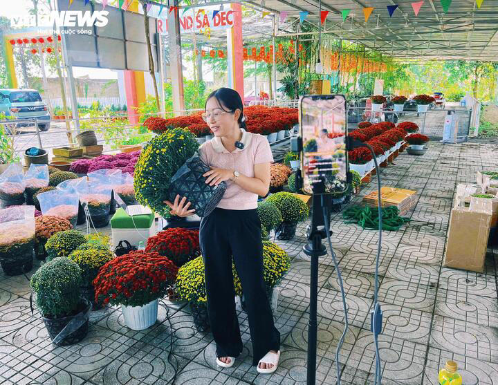 Nông dân miền Tây livestream bán hoa Tết sớm