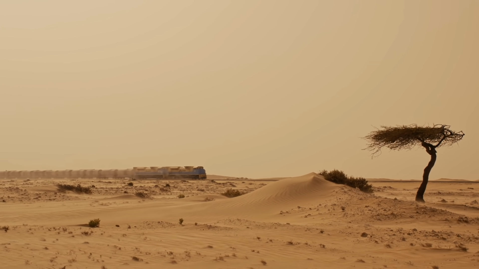 Why men risk their lives hitchhiking this train just to survive