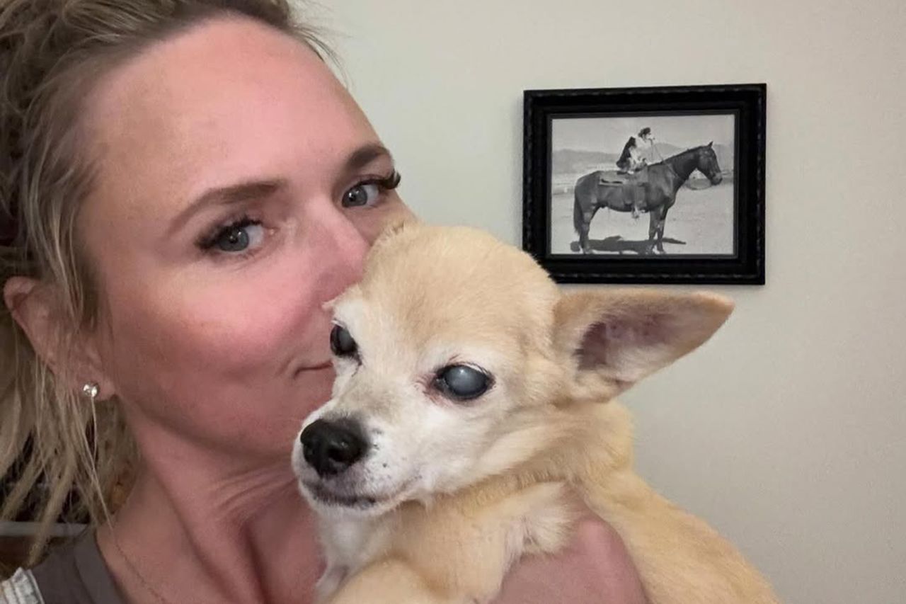 Miranda Lambert mourns death of her 15-year-old chihuahua Cher: 'Wish ...
