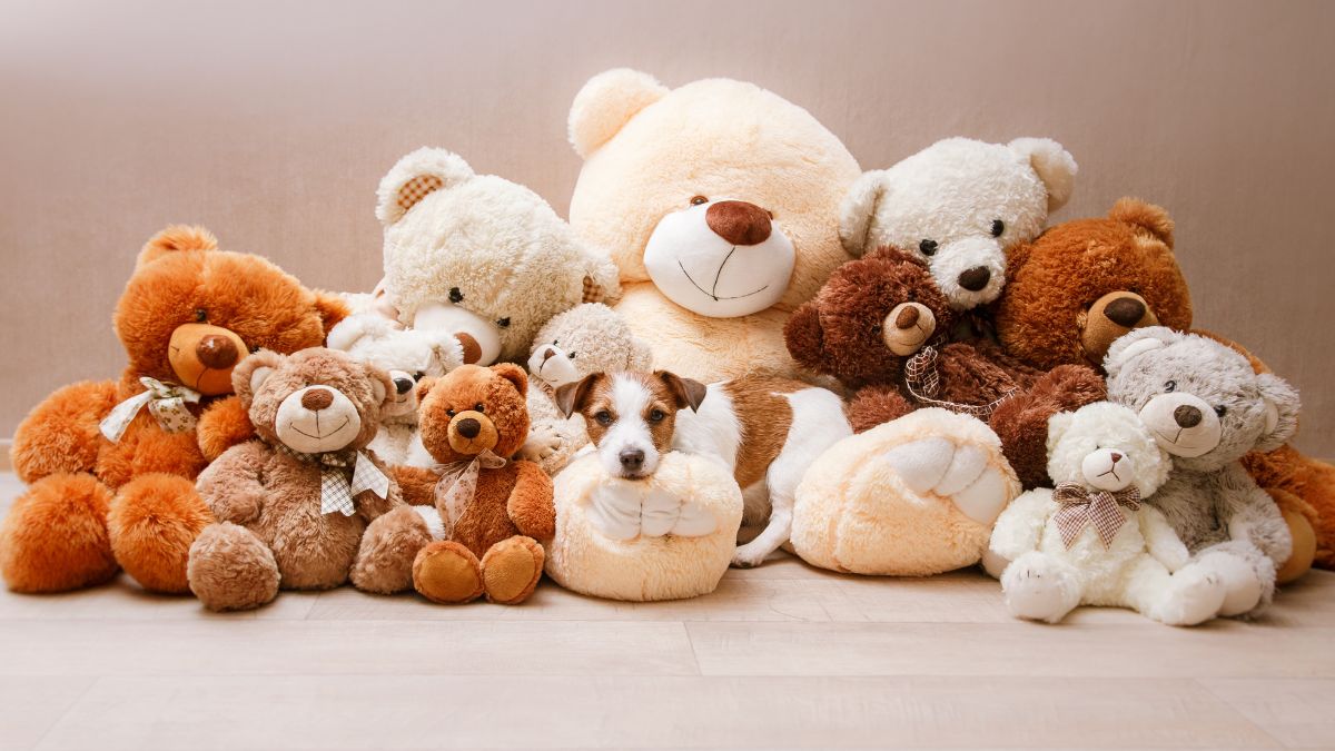 Why teddy bears may not be the best gift for kids