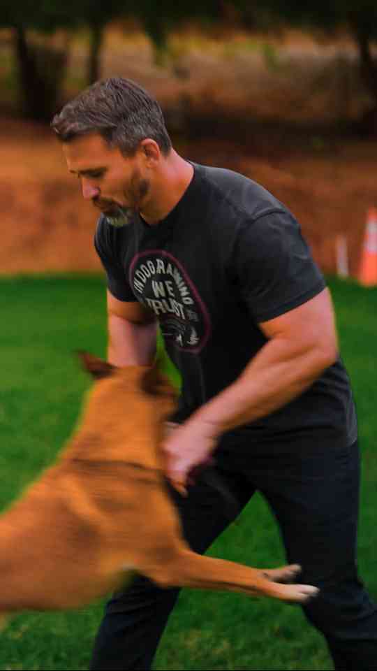 The transformative power of play and bond building in dog training