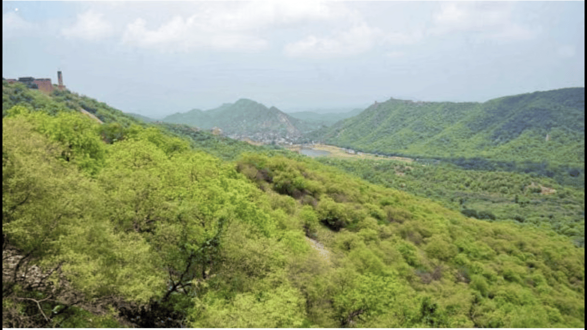 Does 100m-height criterion reduce green cover? Why SC put in abeyance ...