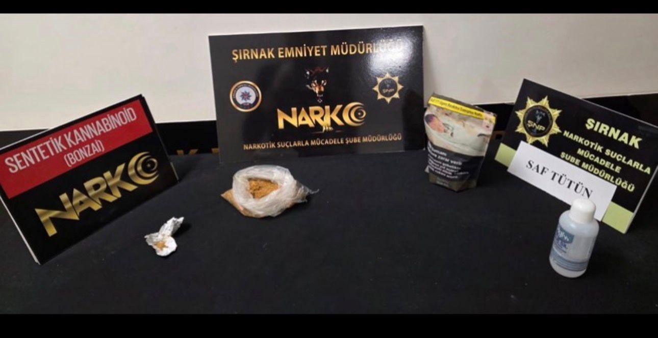 Şırnak’ta narkotik ve kaçakçılık operasyonu: 1 tutuklama
