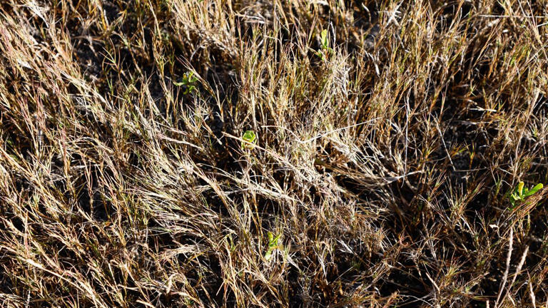 5 times Florida weather got weird in 2025